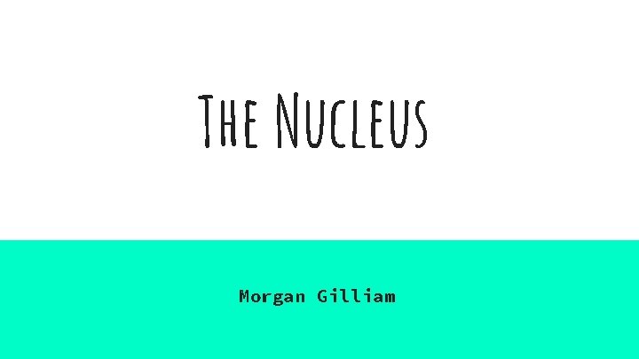 The Nucleus Morgan Gilliam What is it Holds
