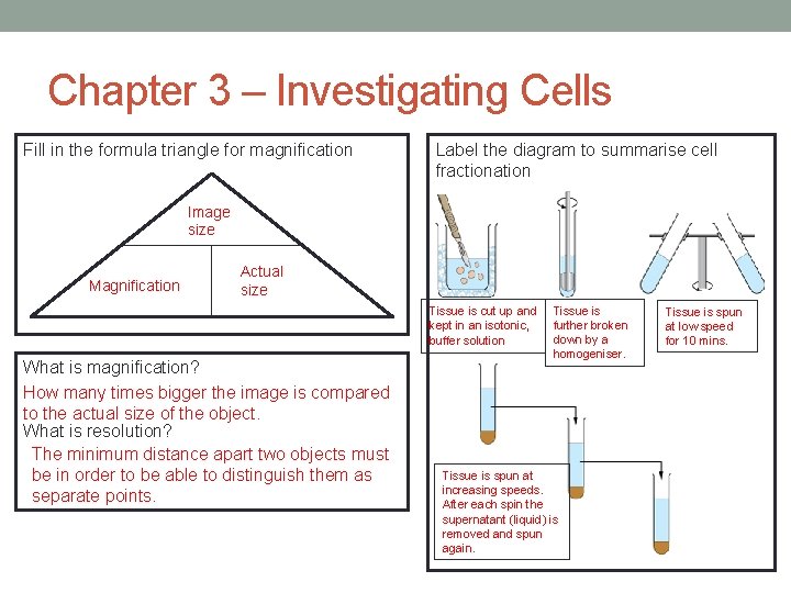 UNIT 1 REVISION Chapter 1 Causes of Disease