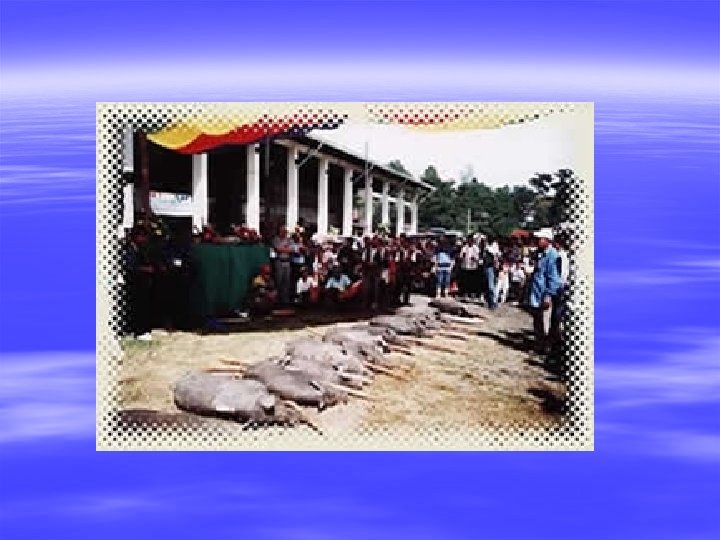 PISTANG PINOY an Overview of Philippine Festivals Riya