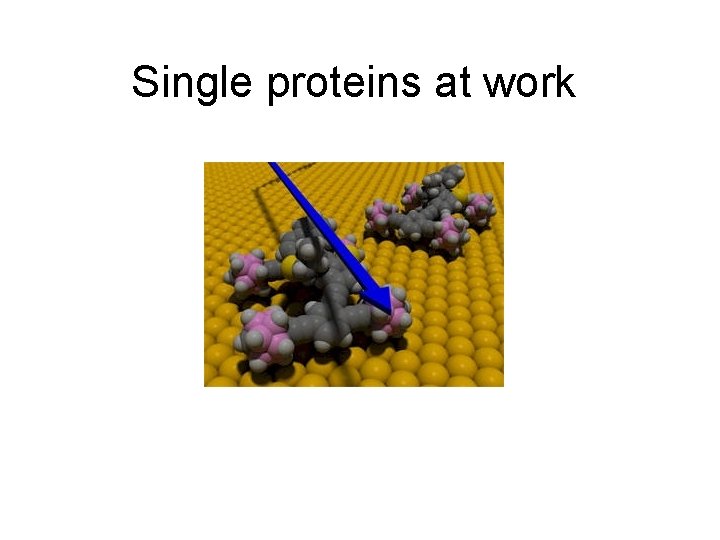 Single proteins at work Enzyme reaction kinetics ES