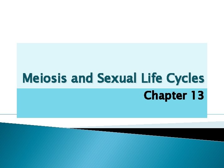 Meiosis and Sexual Life Cycles Chapter 13 Overview