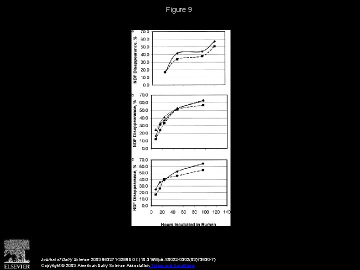 Corn Silage Management Effects of Hybrid Maturity Chop