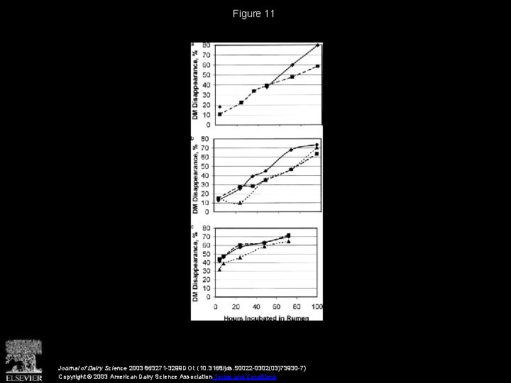 Corn Silage Management Effects of Hybrid Maturity Chop