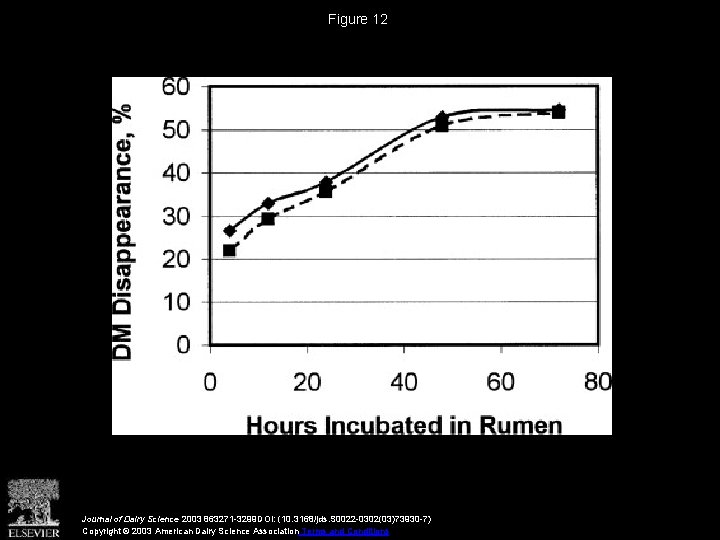 Corn Silage Management Effects of Hybrid Maturity Chop