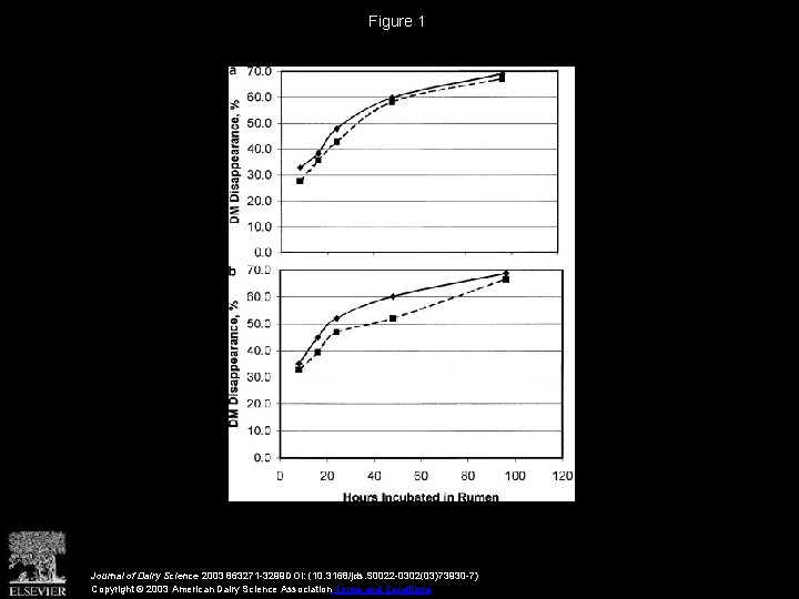 Corn Silage Management Effects of Hybrid Maturity Chop