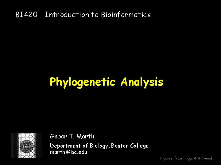 BI 420 Introduction to Bioinformatics Phylogenetic Analysis Gabor