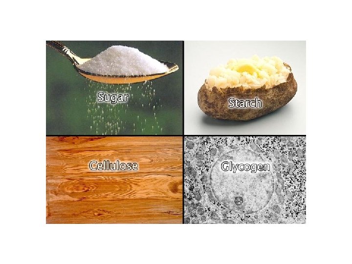 Polysaccarides Starch and Glycogen Learning Outcomes Describe the