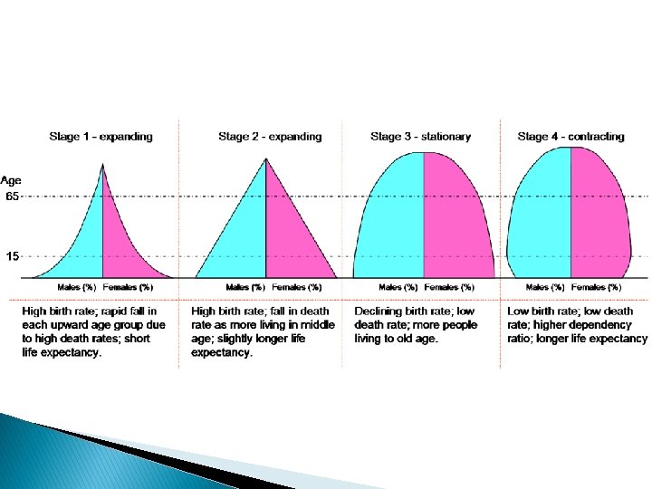 HANS ROSLING The Demographic Transition A model with