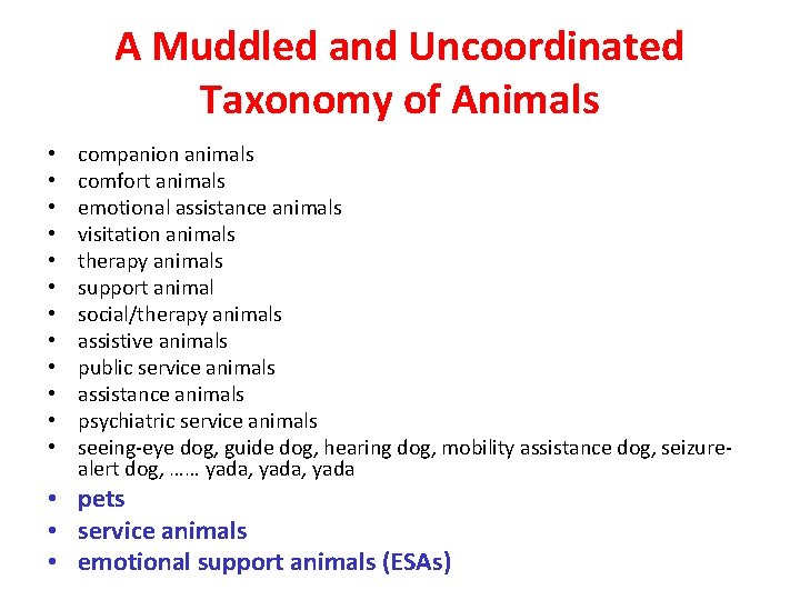 Animals in the Workplace C W Von Bergen