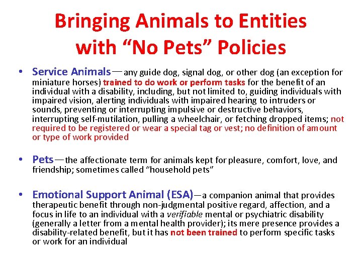 Animals in the Workplace C W Von Bergen