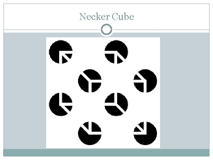 Bell Work 1 The optic chiasm is A