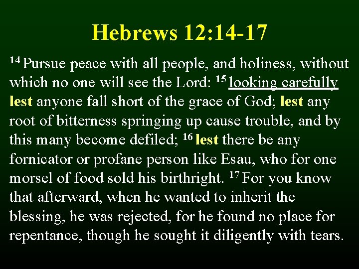 Looking Carefully at Self Hebrews 12 14 17