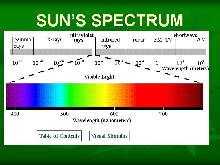Photosynthesis and Cellular Respiration Light Energy Harvested by