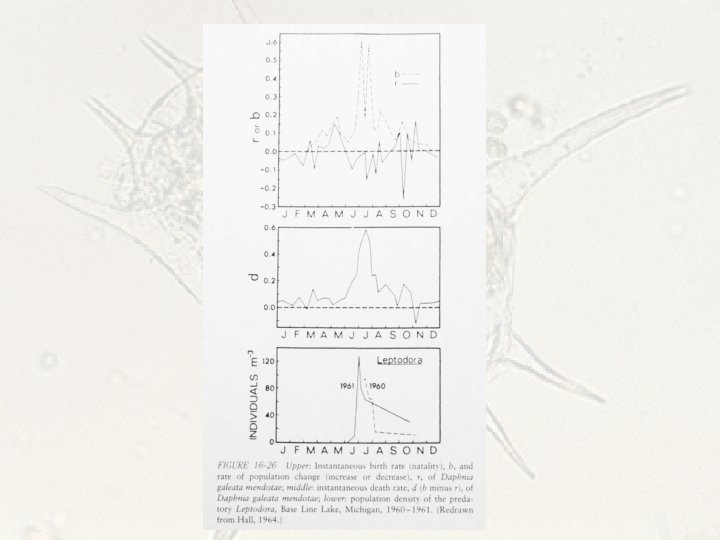 POPULATION DYNAMICS AND COMMUNITY ECOLOGY OF ZOOPLANKTON Range