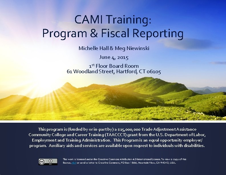 CAMI Training Program Fiscal Reporting Michelle Hall Meg