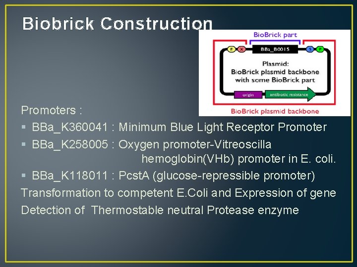Project Proposal Cloning and expression of thermostable neutral