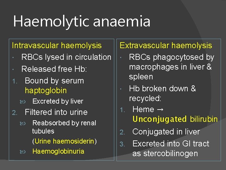 Hemolytic anemia and Bacillus cereus septicemia in a