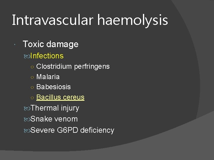 Hemolytic anemia and Bacillus cereus septicemia in a