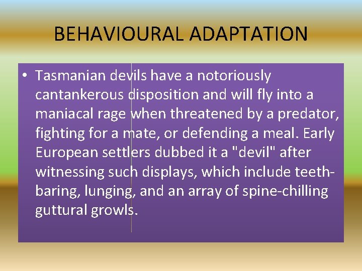 BLACK MAMBA THE TASMANIAN DEVIL STRUCTURAL AND BEHAVIOURAL