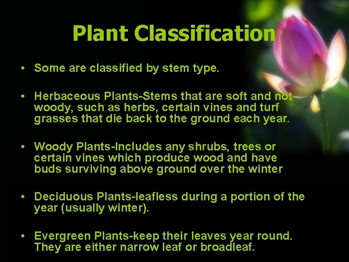 Plant Classification and Naming Botany November 20 2008