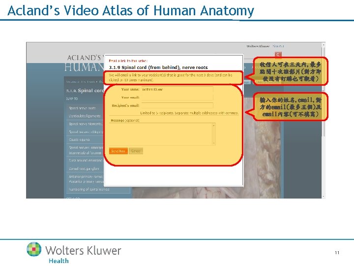 Aclands Video Atlas of Human Anatomy Acland Anatomy