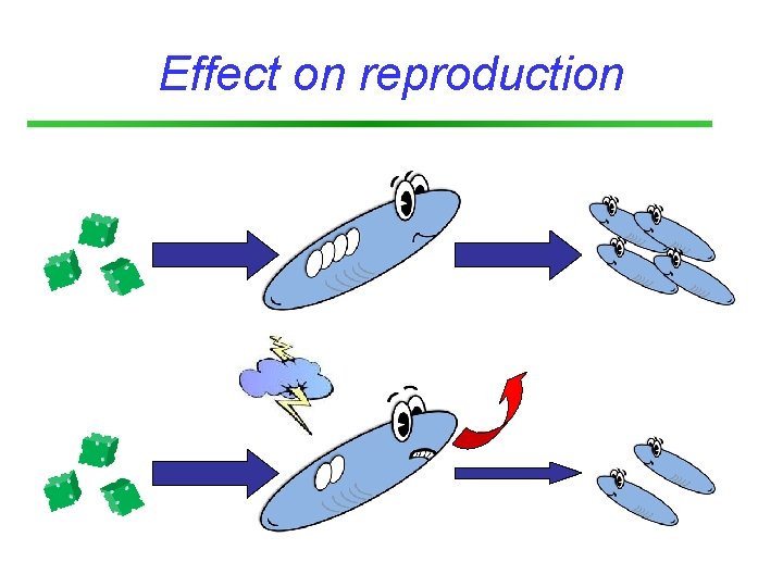 How to simplify biology to interpret effects of