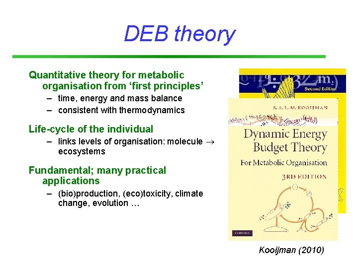 How to simplify biology to interpret effects of