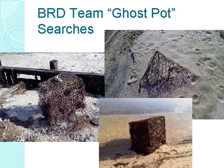 The Need For BRDs Bycatch Reduction Devices Project