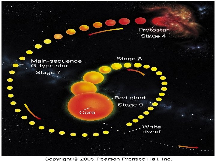 Life Cycle of Stars Star Birth Develops from