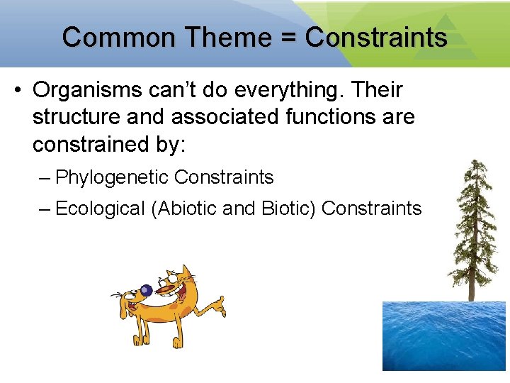 The Missing Link Between Structure and Function in