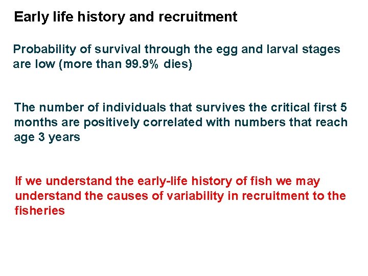 Growth and feeding of larval cod Gadus morhua
