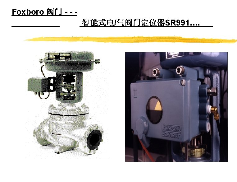 FOXBORO Temperature CFT 50 Digital Coriolis EChem Sensors