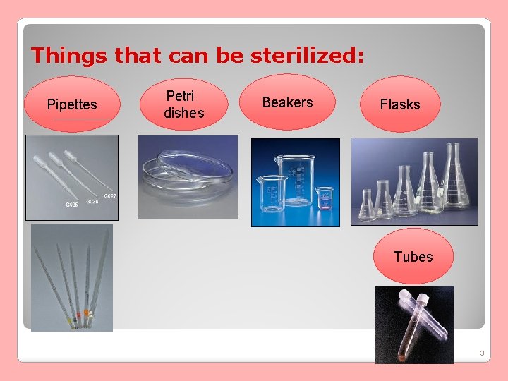 King Saud University Dept of Bot Microbiology General