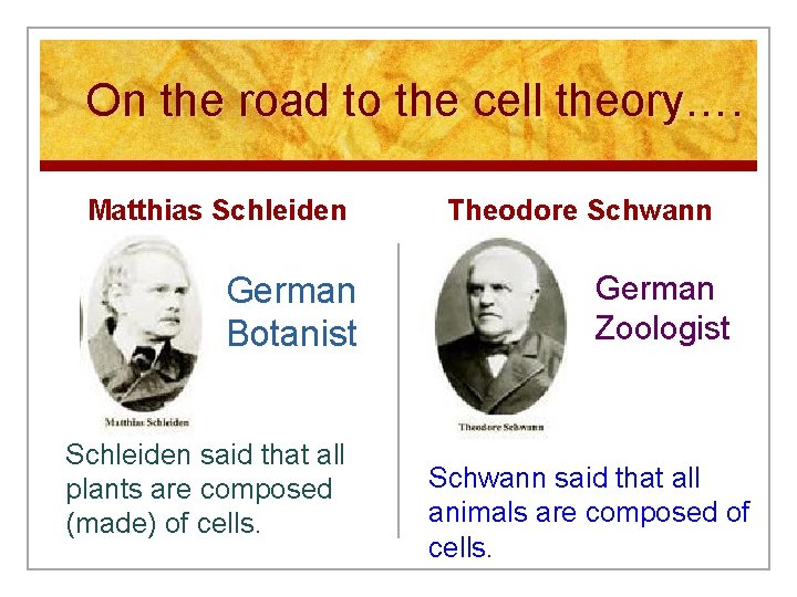 Cell Structure and Function The Basic Unit of