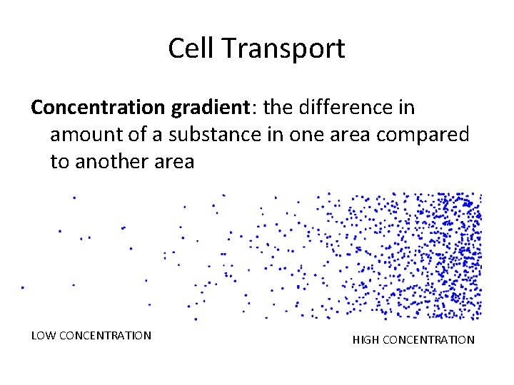 Bell Ringer Day 28 Identify the cell organelles