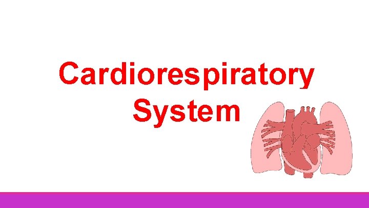 All About Me Body Systems Lets Learn About