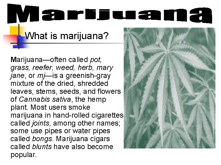 n What is marijuana Marijuanaoften called pot grass