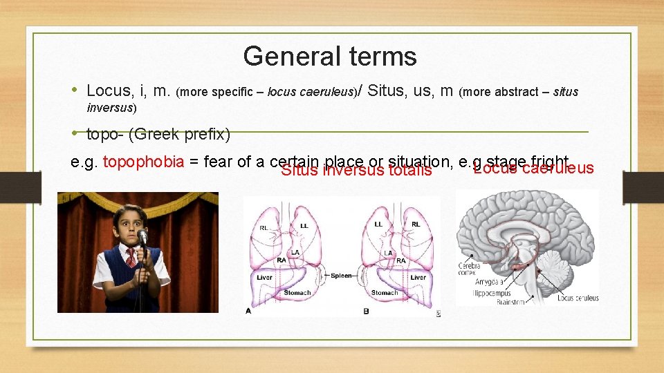 Expressing positions in medical terminology By Denzel Gordon