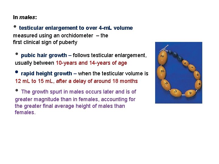 Growth and puberty Dr Nawar Pharaon AlSham Private