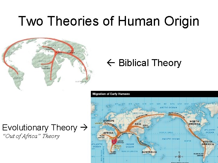 Understanding Our Origins Where Did Humans Come From