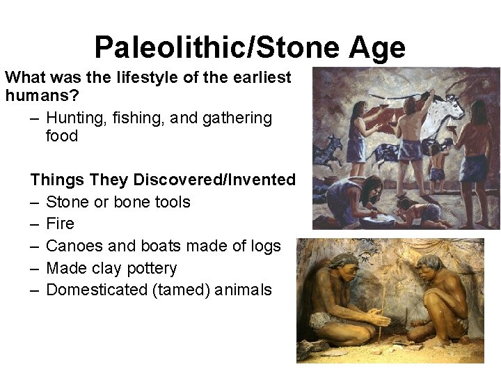 Understanding Our Origins Where Did Humans Come From