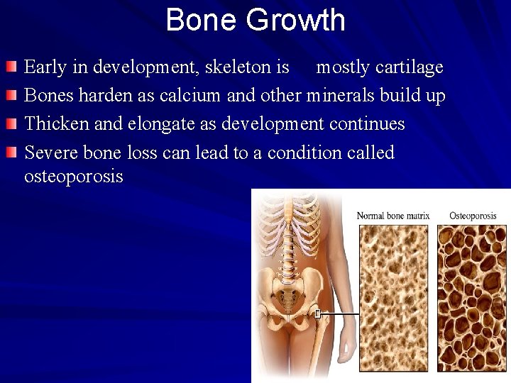 Body is organized into four levels Cells Tissues