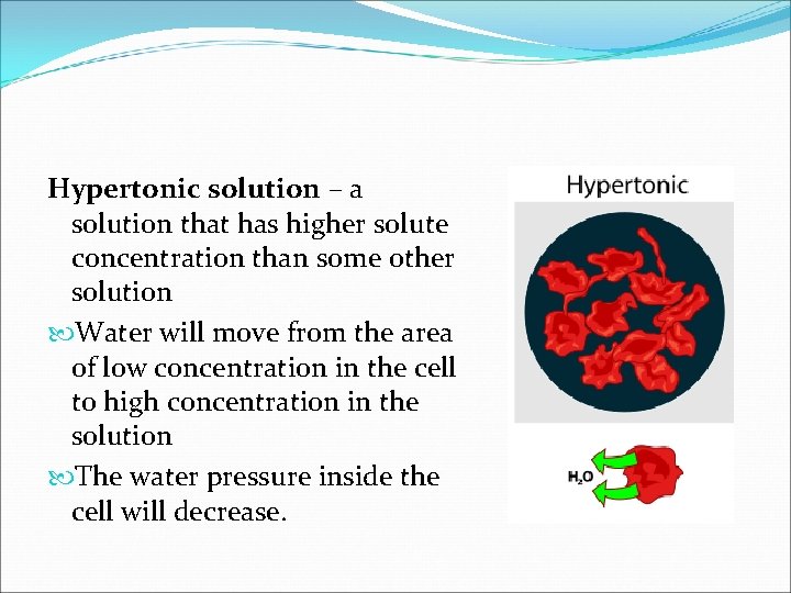Passive Transport Potato lab Lesson 10 February 1