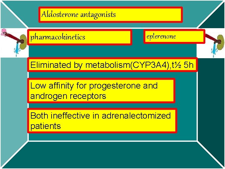 Diureticsiii Aldosterone antagonists Sodium Channel Inhibitors ...