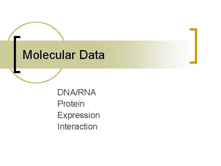 Molecular Data Dnarna Protein Expression Interaction A Sequence 4780