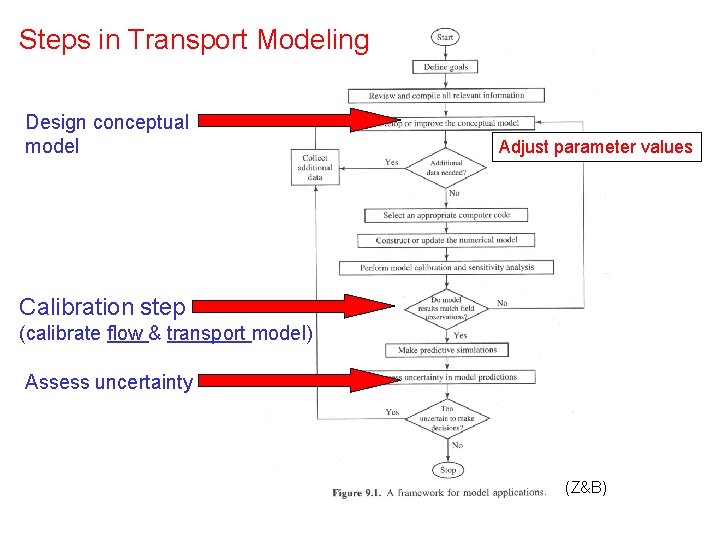Steps in Transport Modeling Design conceptual model Adjust