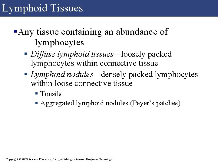 Chapter 23 The Lymphoid System Power Point Lecture