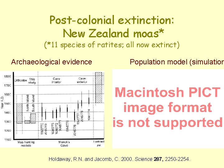 The making of today cultural biogeography v v