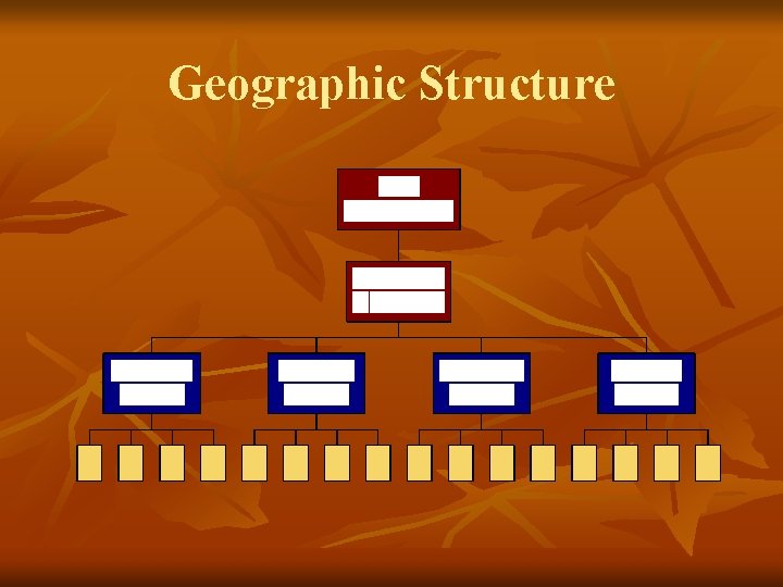 Organisational structures Aim of the organisation OSCAR O