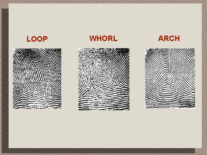 Fingerprints Fingerprints cannot lie but liars can make